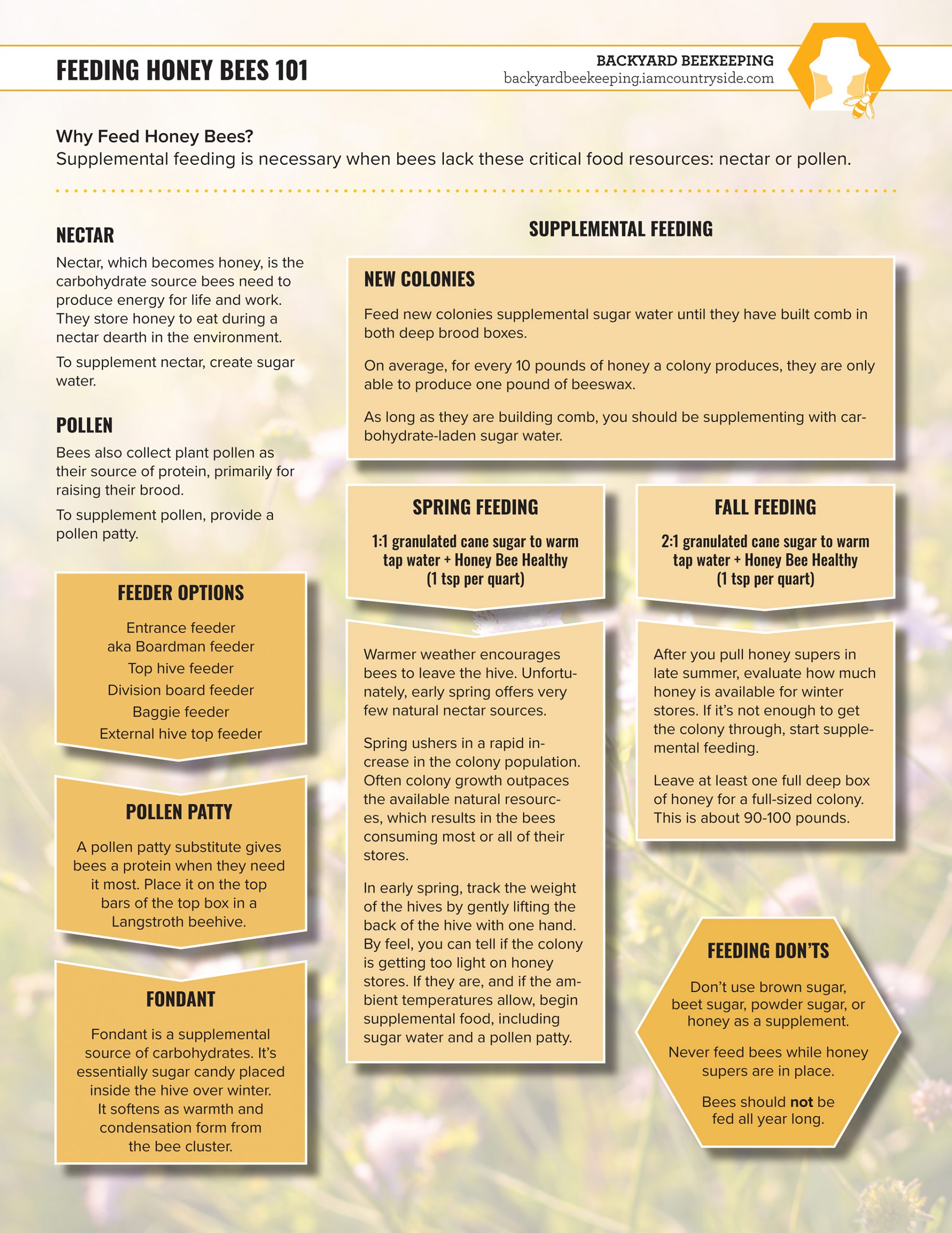 Feeding Honey Bees 101 - Backyard Beekeeping